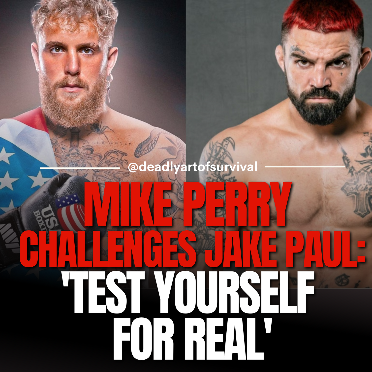Mike Perry Challenges Jake Paul: 'Test Yourself for Real ...