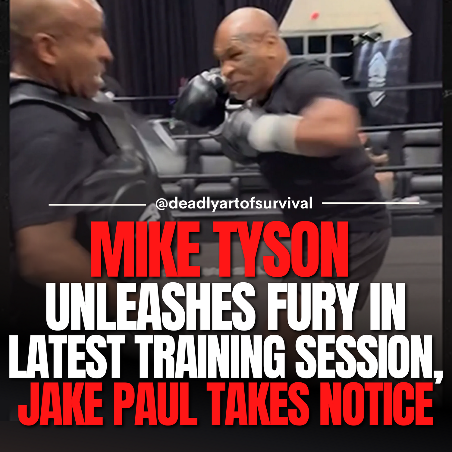 Mike Tyson Unleashes Fury in Latest Training Session, Jake Paul Takes ...