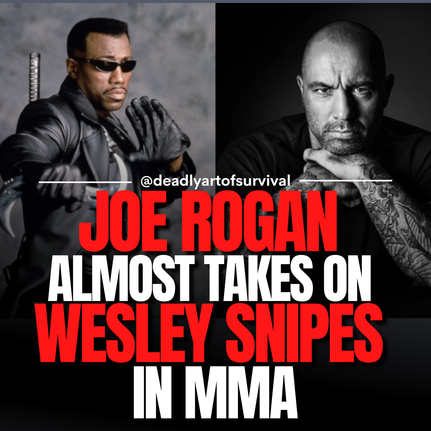 Joe Rogan's Near Showdown with Wesley Snipes. – deadlyartofsurvival.com